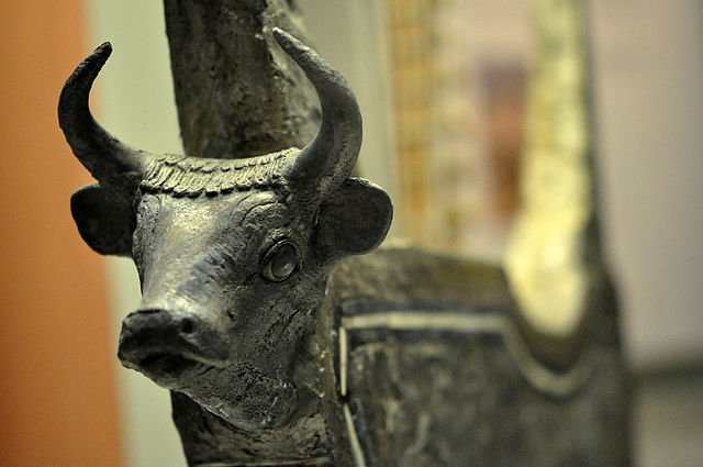 Bull Headed Harp